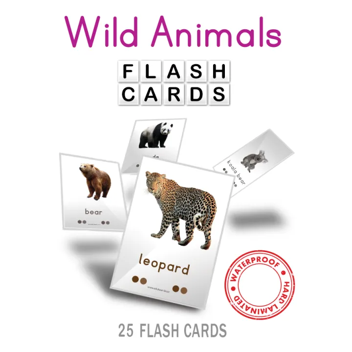 WILD ANIMALS (ANIMATED) FLASH CARDS - 8014 | Daraz.pk