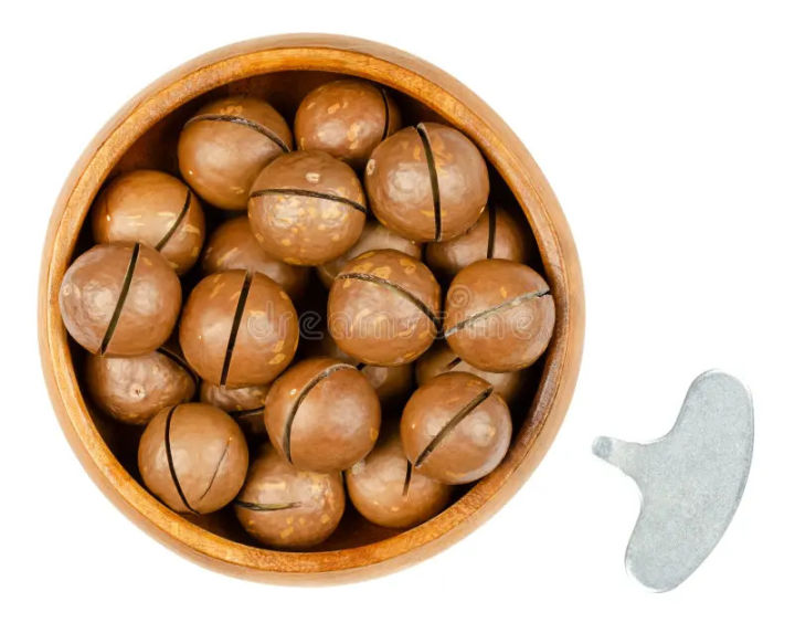 Macadamia Nuts with Shell | Chabi wala Walnut | Austrilian Dry Fruit ...