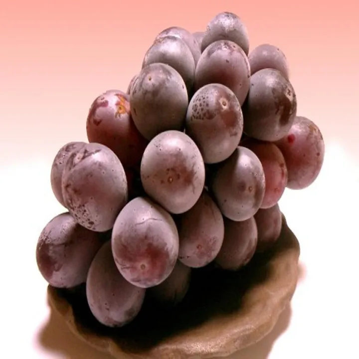 Grapes Kyoho Fruit Tree Seeds | Daraz.pk
