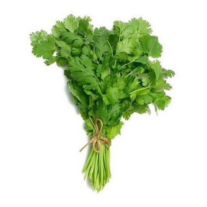 Hara Dhaniya K Beech | Coriander Seeds | Dhaniya Patti | Organic ...