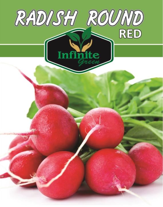 Red Radish Round Winter Vegetable Seeds 450 Plus seeds | Daraz.pk
