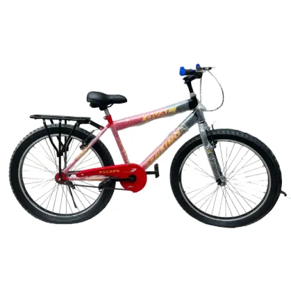 Heavy Duty Single Speed 26 Wheel Bike | Daraz.pk
