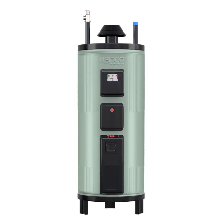 HANCO 20-Gallons Hybrid Electric + Gas Storage Geyser - Auto Ignition ...