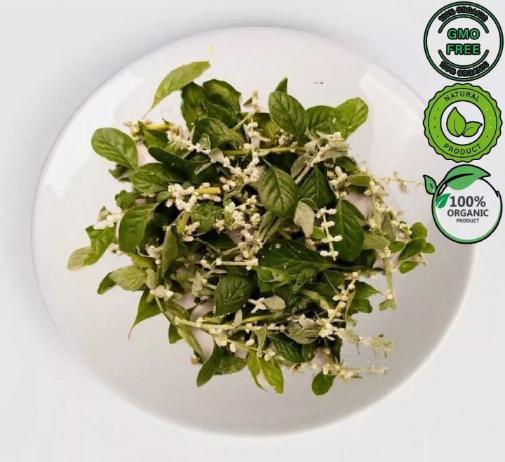 Organic Dried Polpala Tea, 100% Natural Ceylon Aerva Lanata Herbal ...