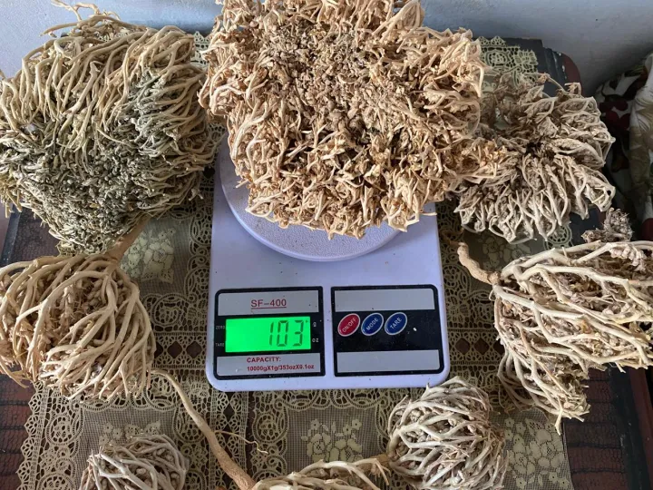 Maryam Booti 100 gm | Daraz.pk