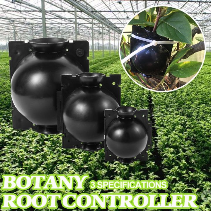 Graft Breeding Case Propagation Ball Botany Root Controller Breeding ...