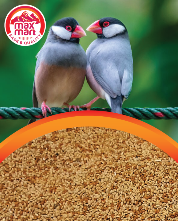 Finch Seed Mix – 100% Natural | Bareek Yellow & Red Kangni | No Bajra ...