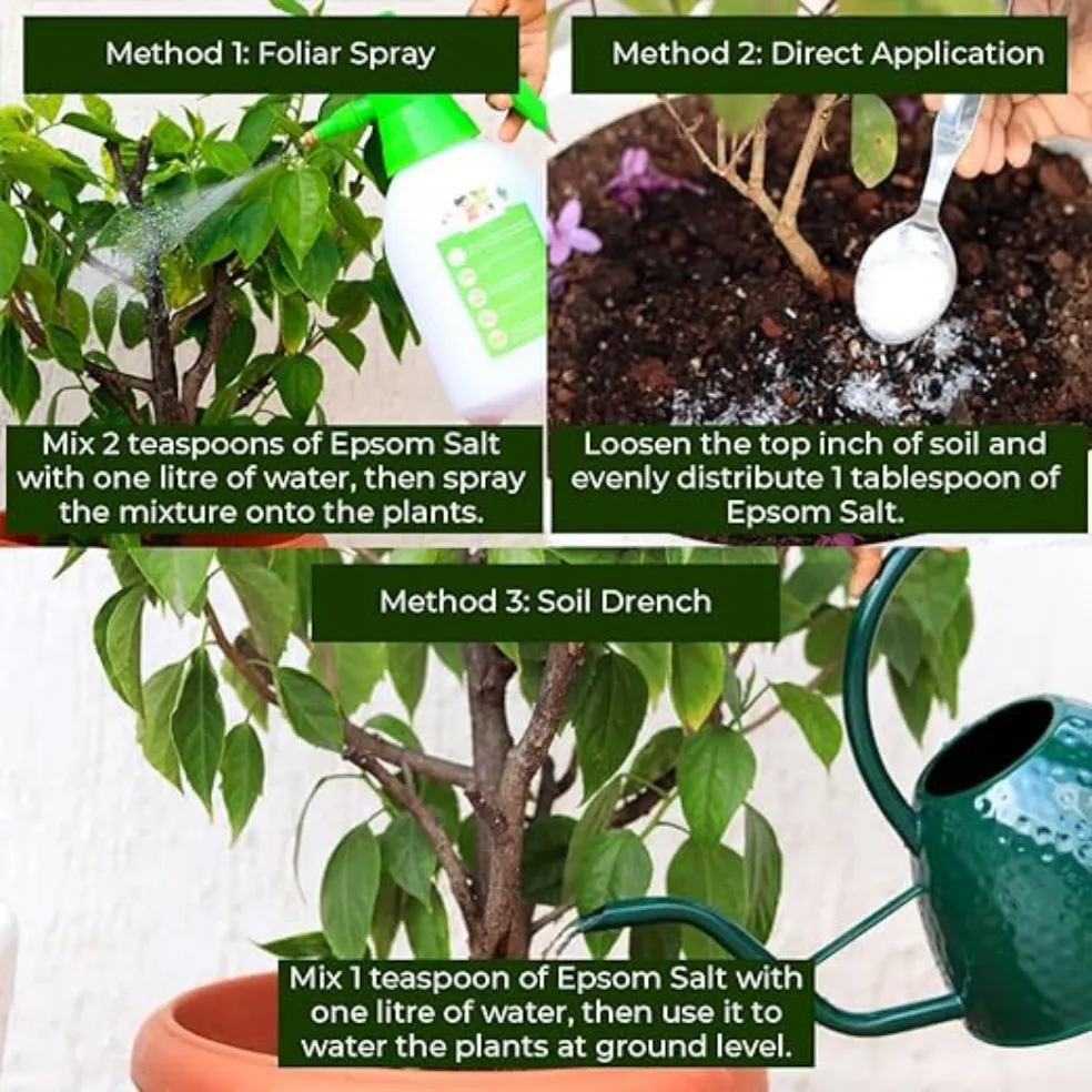 Epsom Salt fertilizer for plants - Natural - Organic Magnesium and ...