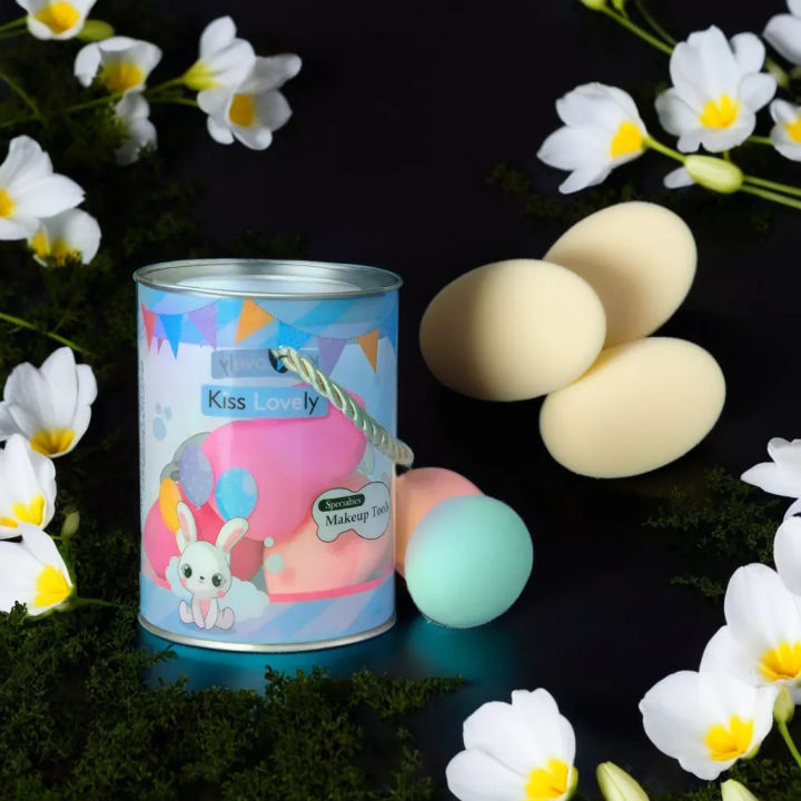 Premium Makeup Sponge Puff Blender Pack of 5 With 1 Storage Box Beauty ...