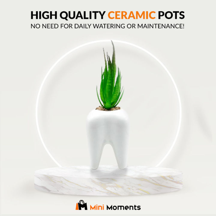tooth ceramic pot with artificial plant | Daraz.pk