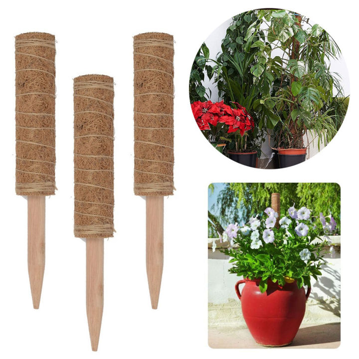 JM 30/40/50cm Plant Climbing Pole Cane Coir Moss Stick Palm Vines Stick ...