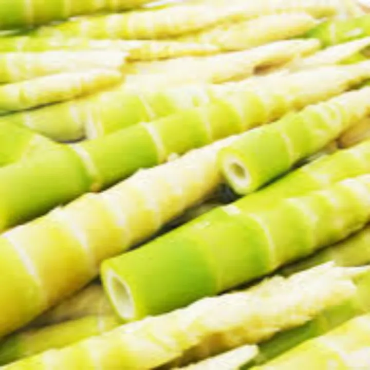 Fresh Organic Bamboo Shoots – Soft & juicy – 1kg Pack – Premium Quality ...