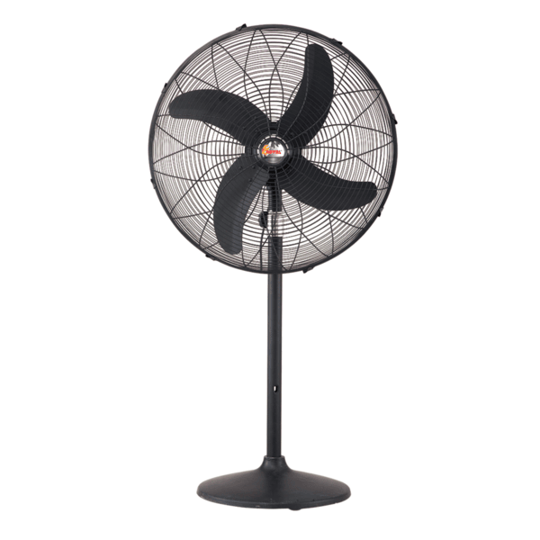 Royal Pedestal Deluxe Fan 24" – 125W Copper Motor | Adjustable Height ...