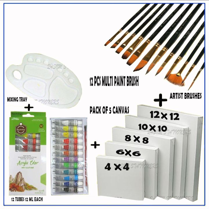 30 Pcs/Set Value Pack For Artist - Canvases, Acrylic Paints, Multi ...