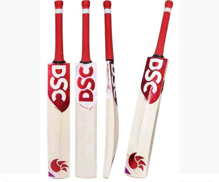 New DSC Player Latest Edition Cricket Hard Ball Bat | Daraz.pk