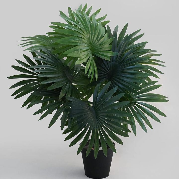 Artificial Fan Palm Plant for Home Decor/Office Decor/Gifting | 18 ...