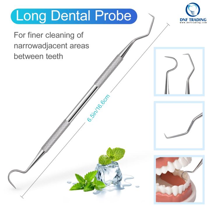 Dental Explorer Probe Tooth Pick Tartar Removal Scaler (Premium Export ...
