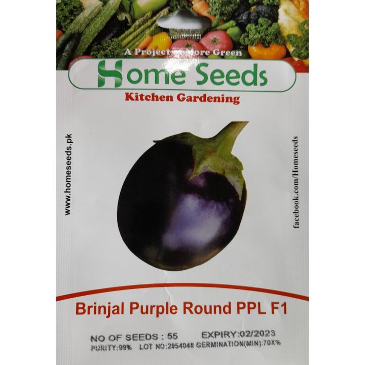 Seeds- Brinjal Round Purple PPL F1 Hybrid | Daraz.pk