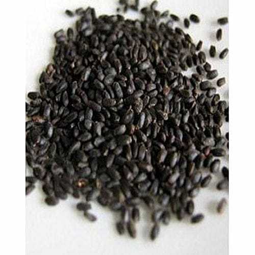 Niaz Bo Basil Herb Seeds - Thai Large Leaved | Daraz.pk