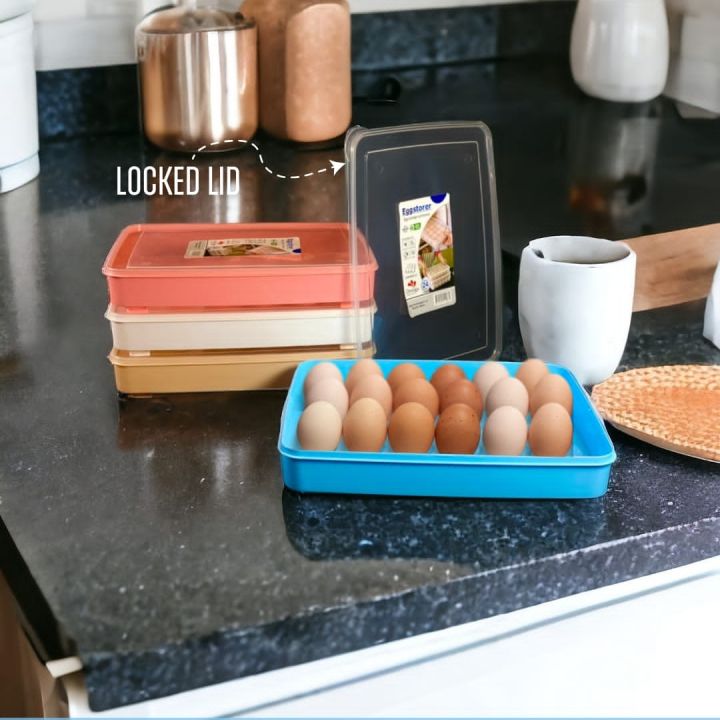 Egg Container for Refrigerator - 24 Egg Holder with Lid and lock| Egg ...