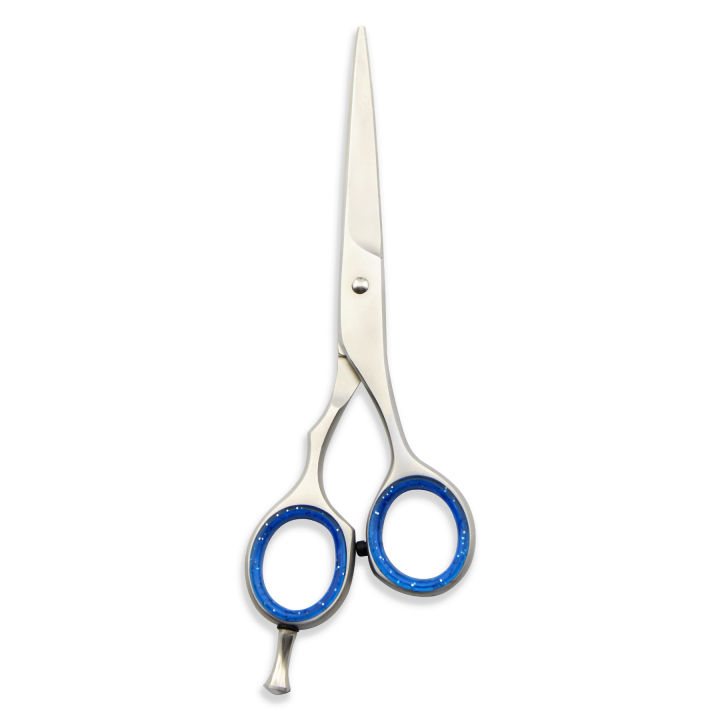 BrushnBlade Silver 5.5” Hairdressing Razor Scissors with Fixed Screws ...