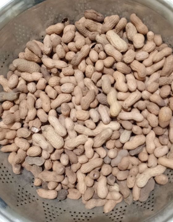Fresh Roasted Peanut / Mong Phali with Shell | Daraz.pk