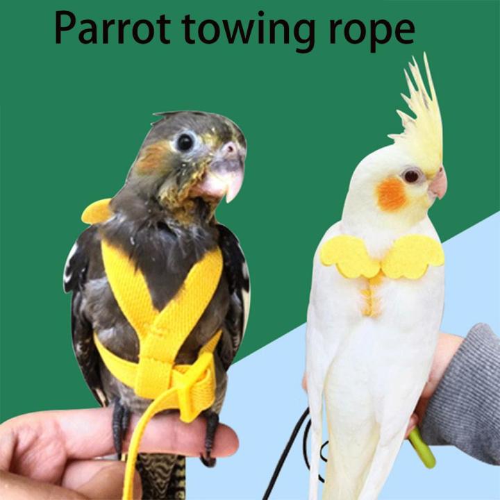 Budgie Rope With Wing Adjustable Outdoor Flying Training Flight ...