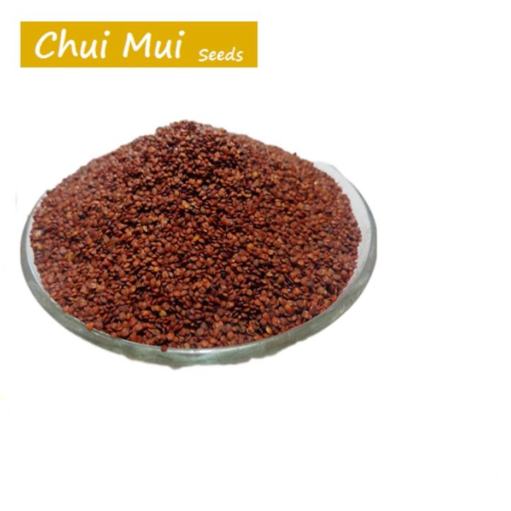 Chui Mui Seeds | Lajwanti | 50 Grams Pack | Daraz.pk