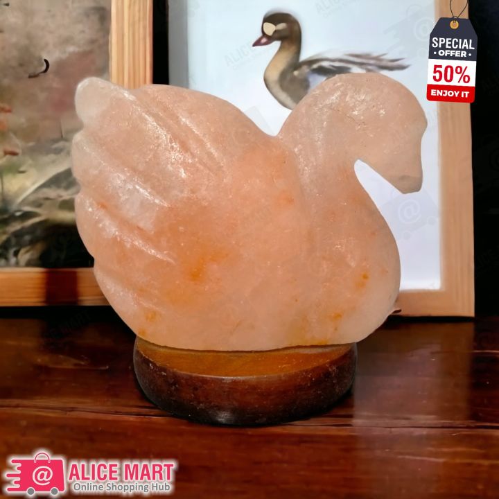 Duck Shape 7 Color Changing USB Himalayan Salt Lamp for Home Decoration ...