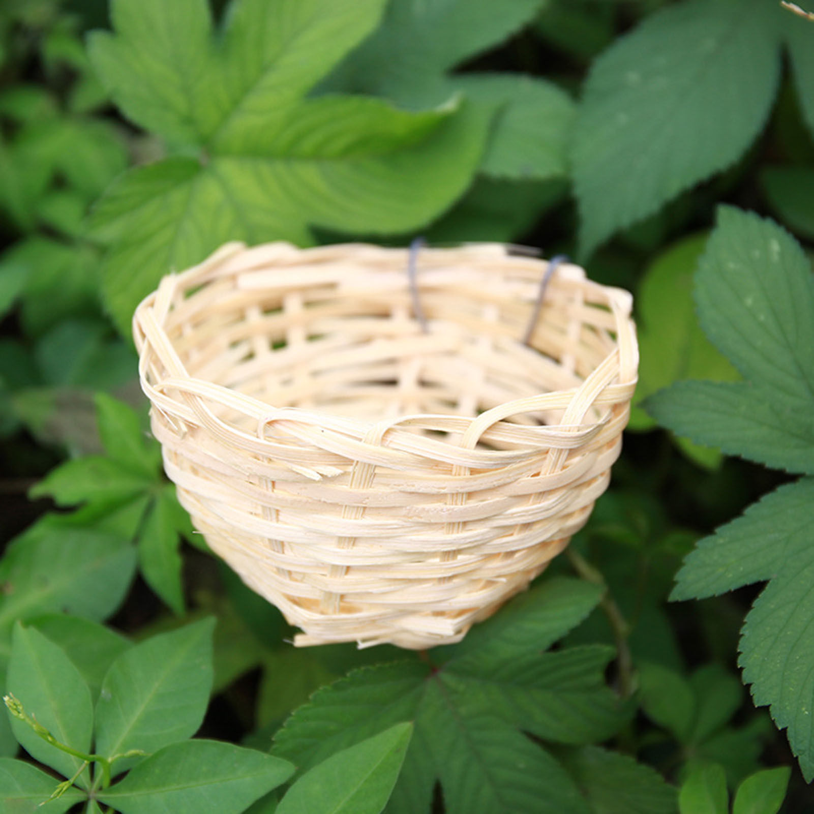 Ziwelan Bird Bamboo Nest Exquisite Pet Bird Parrot Bamboo Breeding ...