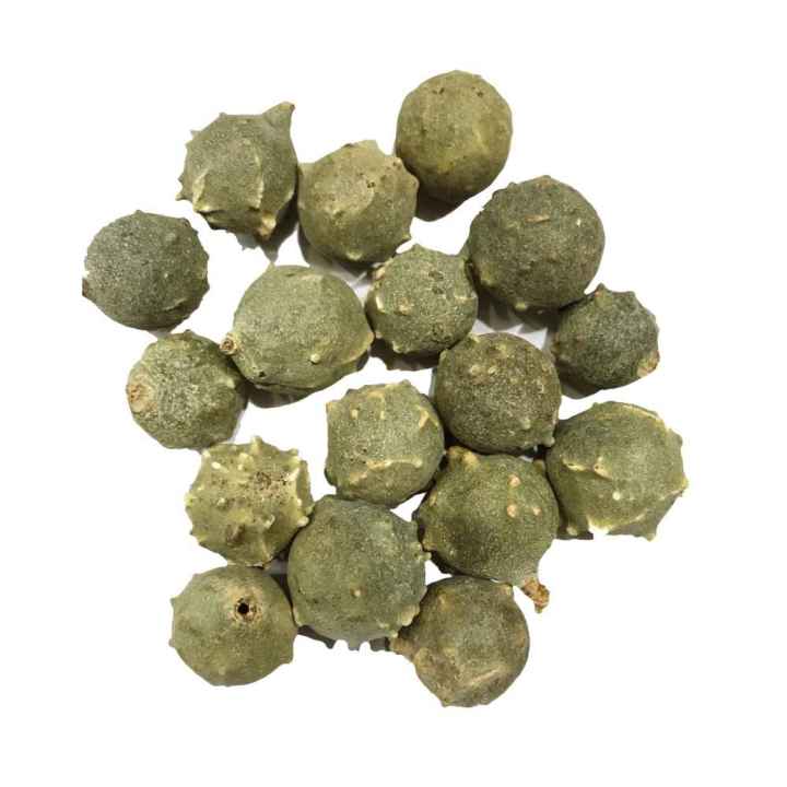Majuphal | Oak Galls | Mazu | Quercus Infectoria Oliv. (100 GM) | Daraz.pk