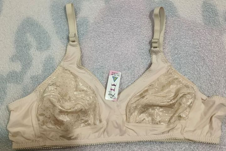 Pack of 2 China Jersey and Malai Stuff Bra for Women, Girls | High ...