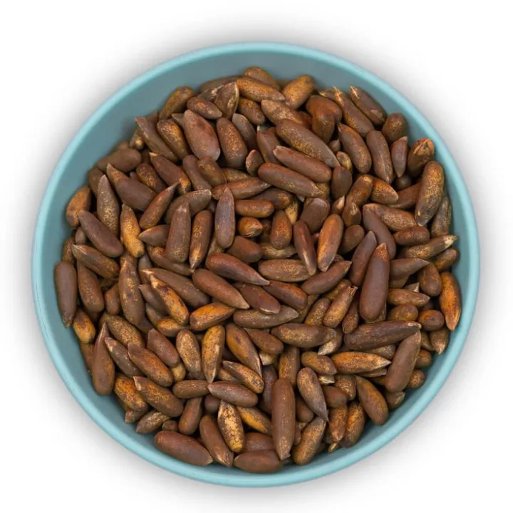 Premium Chilgoza Pine Nuts | Fresh Long Grain Chilgoza | High Protein ...