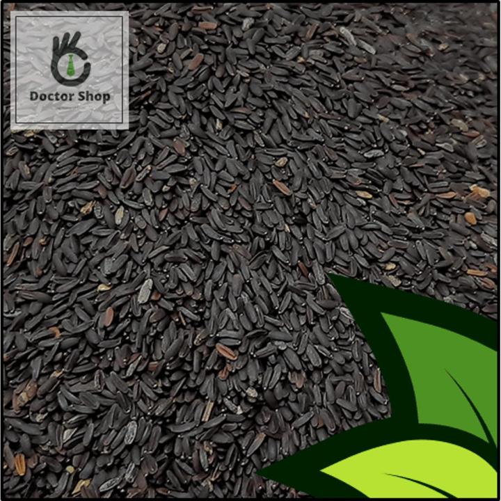 Tukh Malanga (Long) - 01 Kg | Daraz.pk