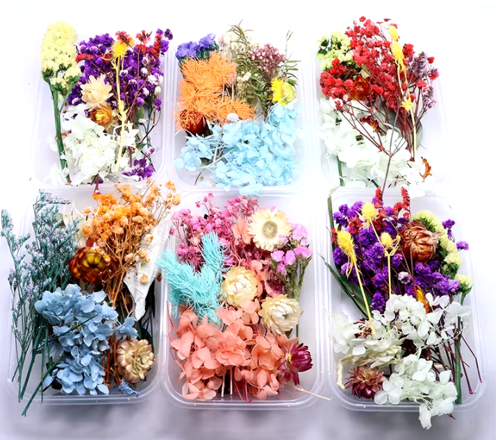 Dry Flowers for Resin Art Natural Dried Pressed Real Flowers Preserved ...