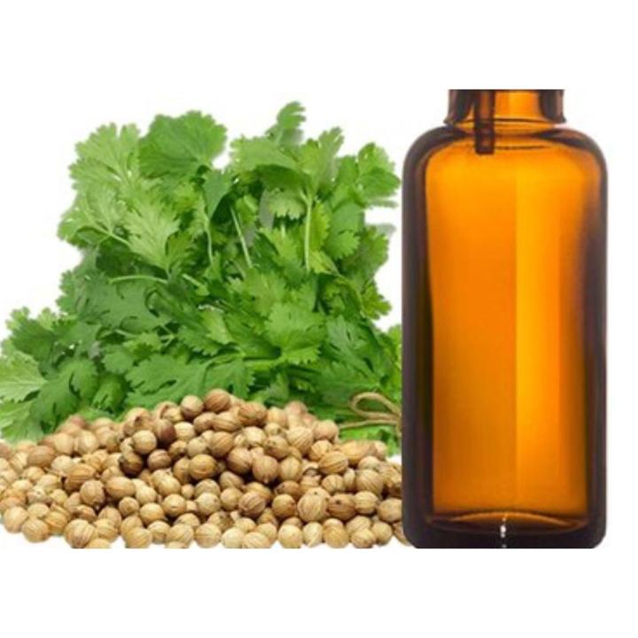 Coriander Dhania Oil (240ML) (روغن دھنیا) | Daraz.pk