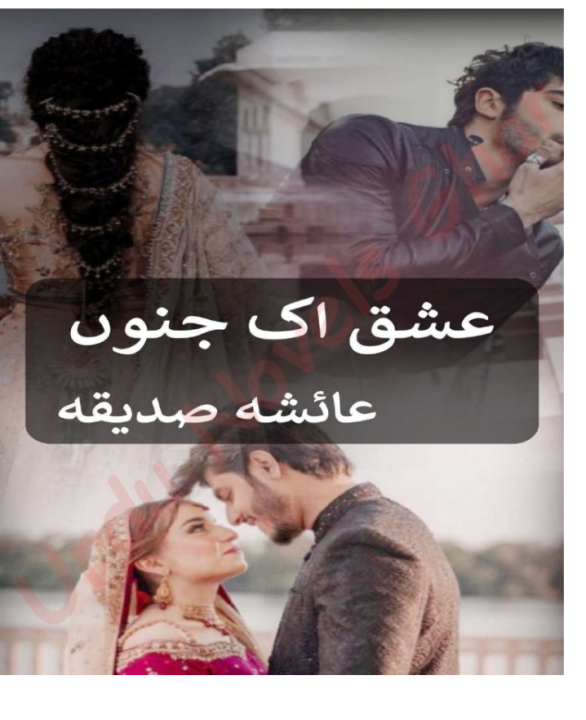 Ishq Ik Junoon By Ayesha Siddiqa Complete Urdu Novel Pdf | Daraz.pk