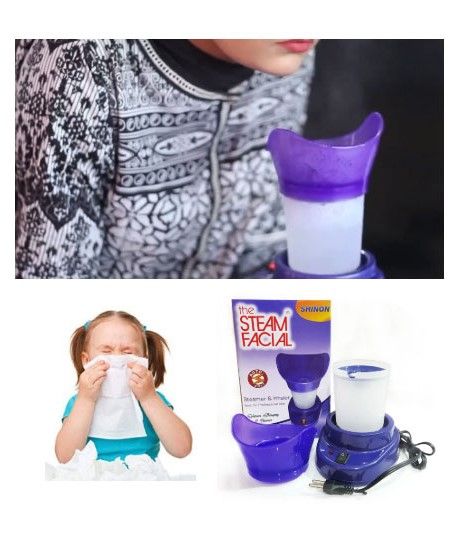 The Steam Facial – Steamer and Inhaler for Block Nose & Facial Usage ...