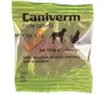 Caniverm Deworming Tablet (For Dog, Cat, Puppies & Kittens) - 1 Tablet ...
