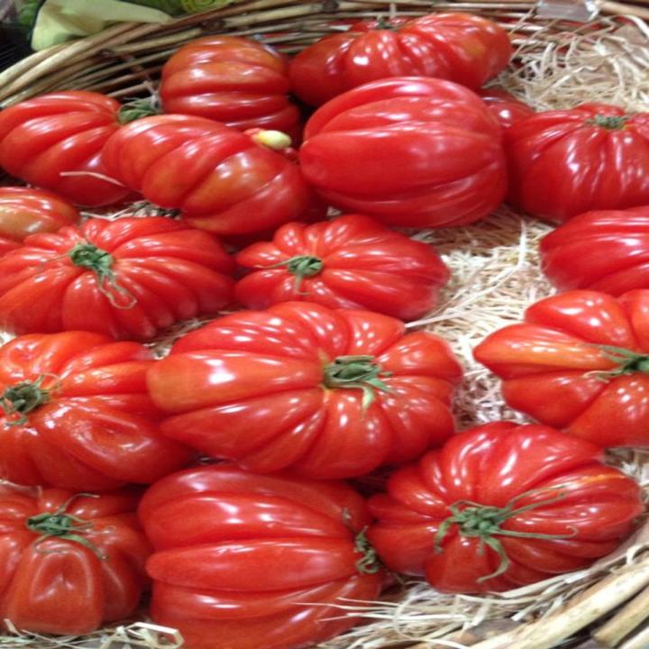 Tomato German Giant Vegetable Seeds | Daraz.pk