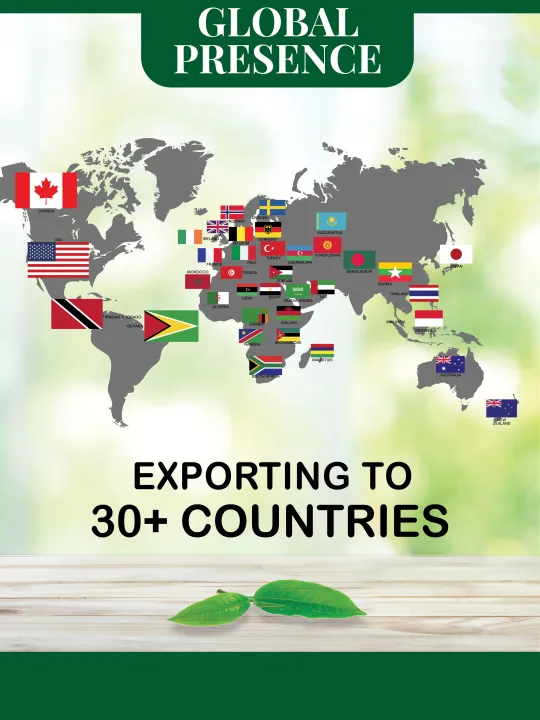 Green Valley Moringa, Ginger & Toot Siah Lozenges (Bundle of 9 Strips ...