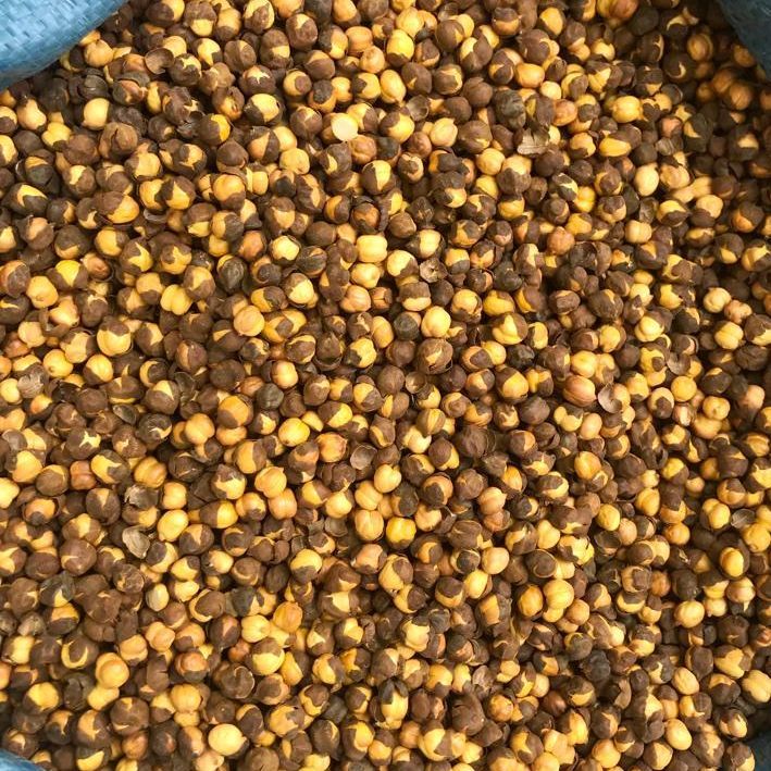 Bhuney chaney 1kg bhuna chana Roasted fresh chaney chickpeas large size ...