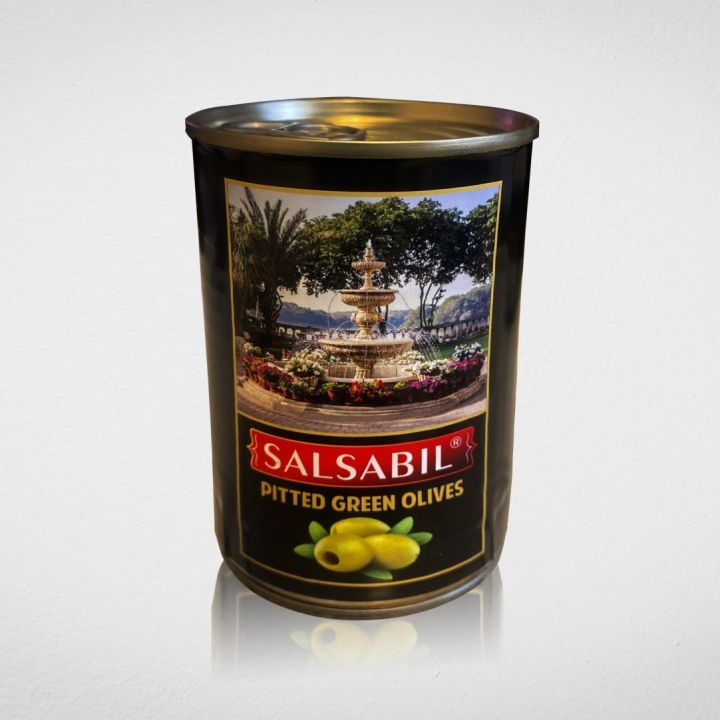 Salsabil Tin Pitted Green Olives (420gm) | Daraz.pk