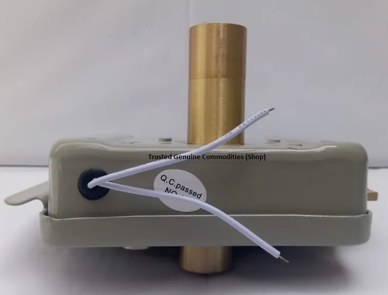 Electric Automatic Main Gate Lock Heavy Duty Main Gate Lock (5 Keys ...