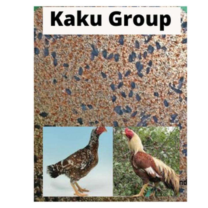 KakuGroup Birds Chicken Parrots Pigeons Feed Mix Dana Best Breeding ...