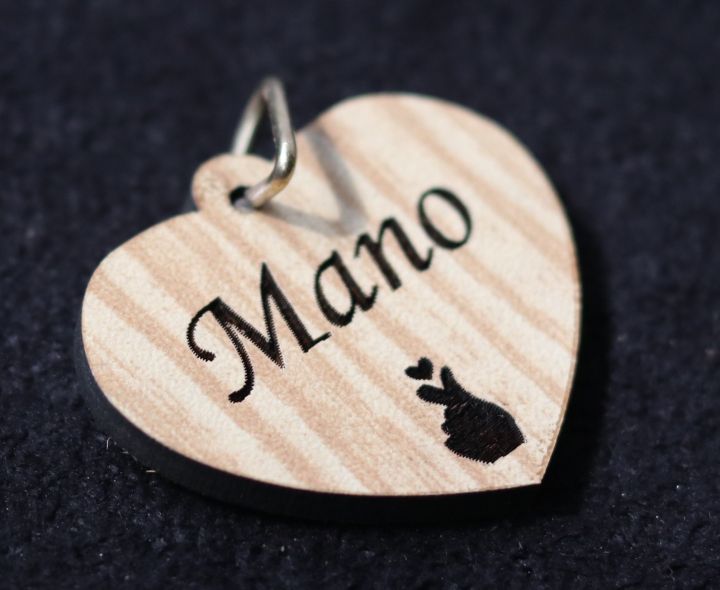 Custom Name Personal Tag Id For Cat & Dogs Heart Shape Tag | Daraz.pk