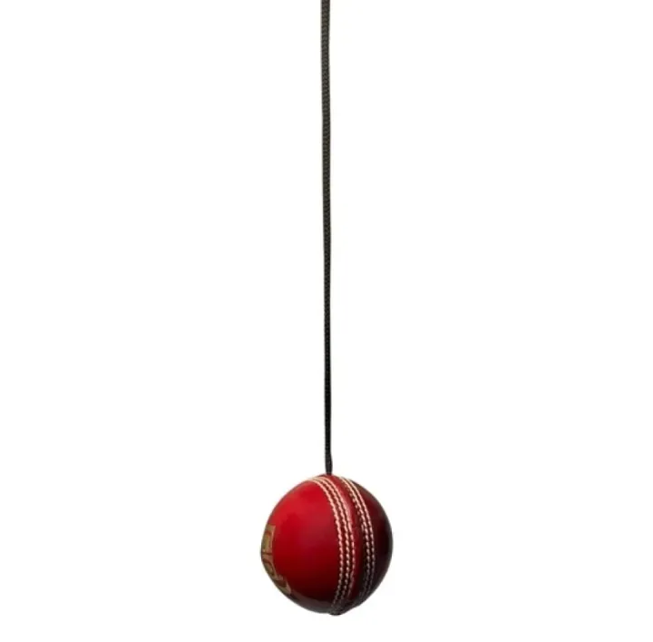 Cricket Hanging Hard Ball with Rope for Bat Stroke Knocking and Batting ...