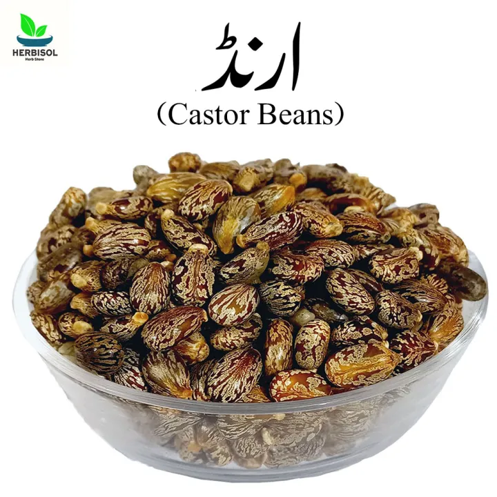 Arind 100gm ارنڈ - Castor - Arandi Ke Bheej / Castor Beans 100 grams by ...