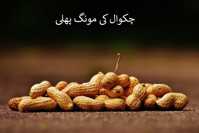 peanuts moong phali chakwal 1KG | Daraz.pk