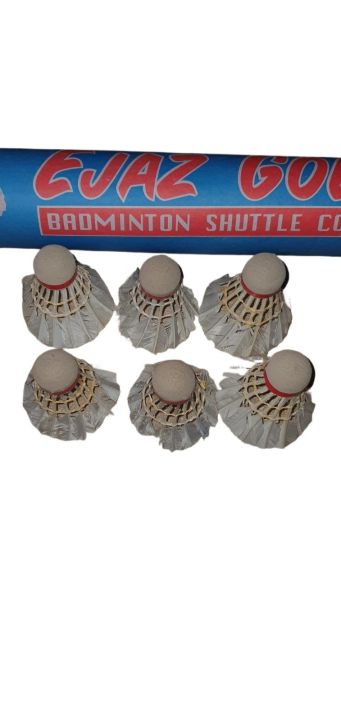 "Feathered Finesse: Pack of 12 Shuttlecocks for Tennis & Badminton Fun ...
